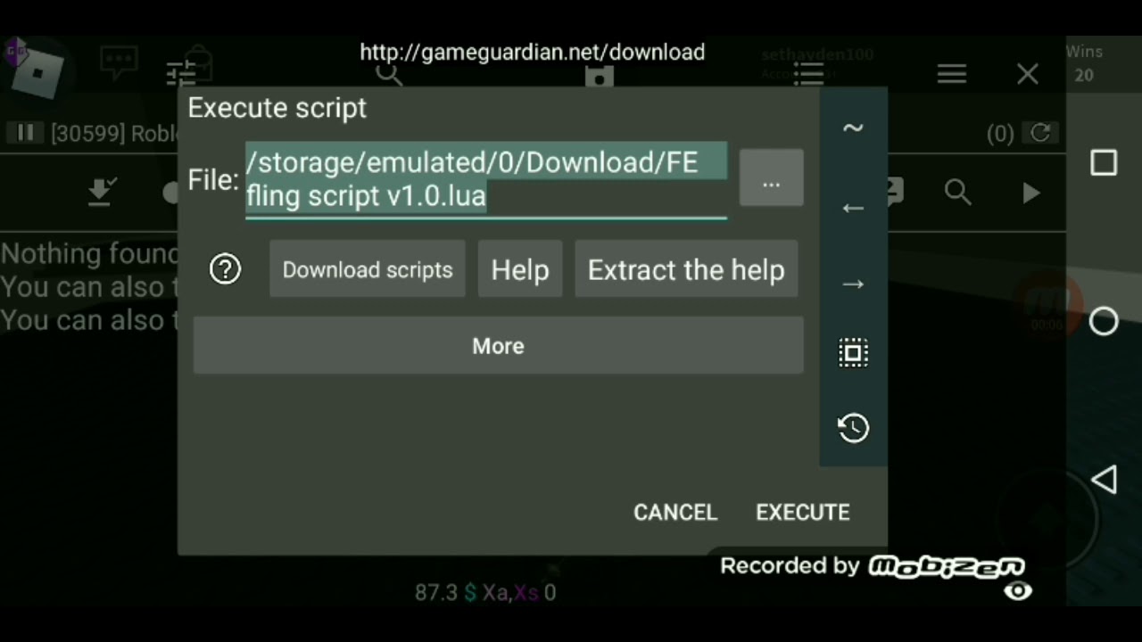 Fe_god script lua fencing sim - YouTube
