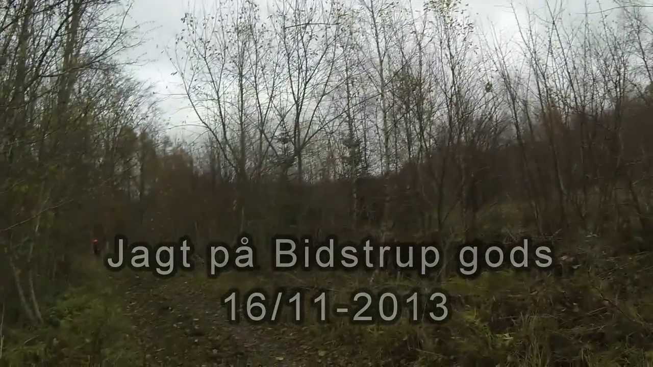 Sneppe på Bidstrup gods 16 11 2013 - YouTube