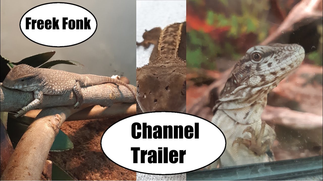 Freek Fonko channel trailer - YouTube