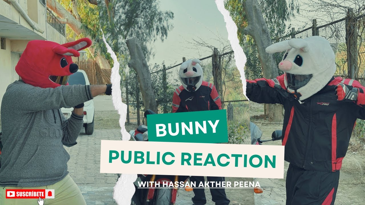 Funny 🐰 So Daman Racing #bunny #recationvideo #bunnyfunny - YouTube