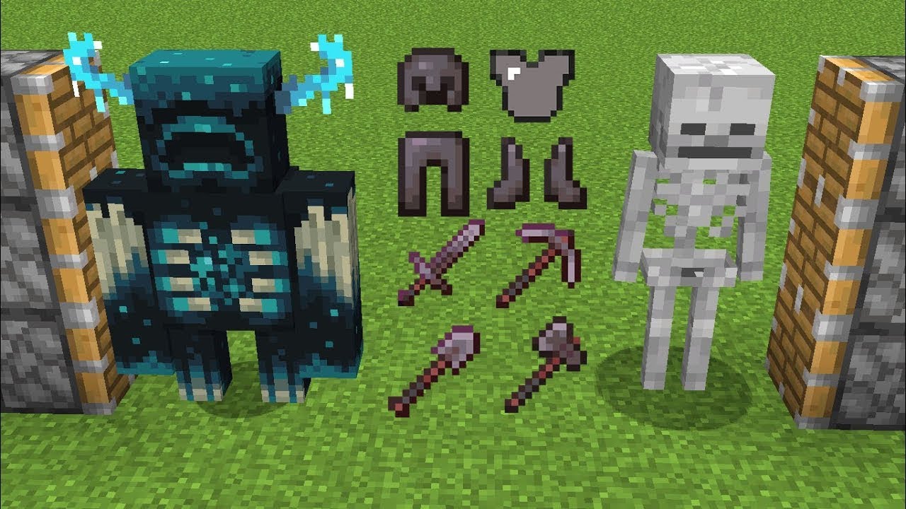 warden + netherite armor + skeleton = ??? - YouTube