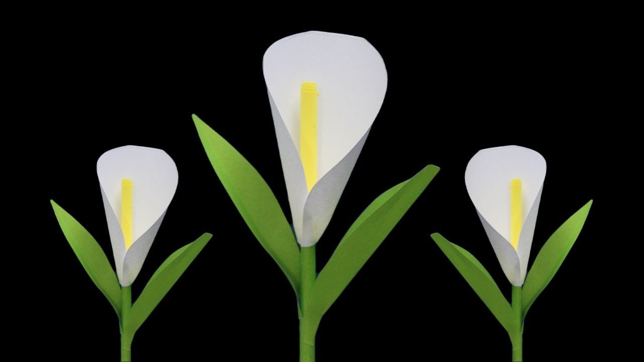 Como hacer una flor cartucho de papel 🌸 flor alcatraz de papel - YouTube