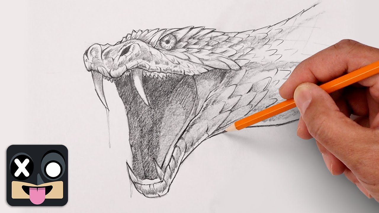 How To Draw a Venomous Snake | Sketch Tutorial - YouTube
