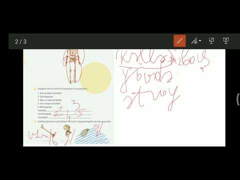 8-ci sinif biologiya ksq 3
