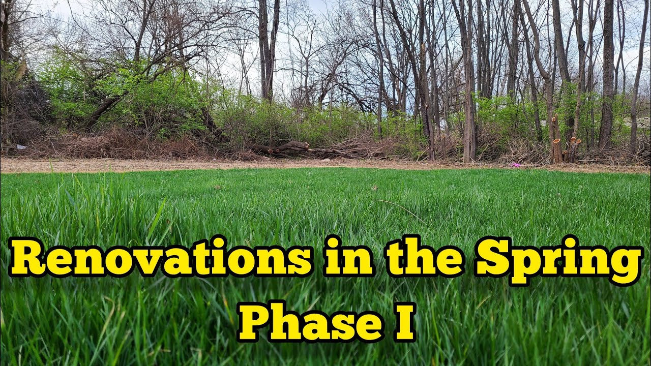 Renovations in the Spring | Phase 1 - YouTube