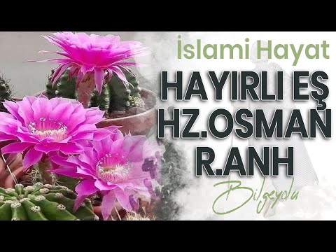 İKİ NUR SAHİBİ HAYIRLI EŞ HZ  OSMAN R ANH#madina#makkah#best#islamicvideo#islamic#genshinimpact