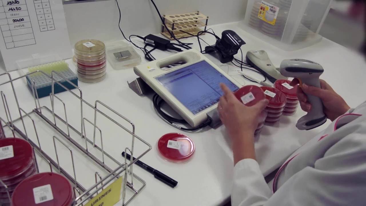 Scan'Bac Paperless - YouTube