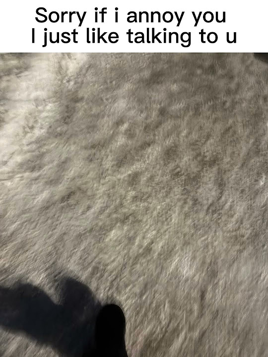 Sorry 🤷🏻‍♀️ - YouTube