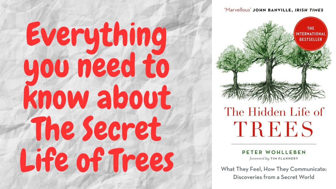 The Hidden life of trees by Peter Wohlleben - YouTube