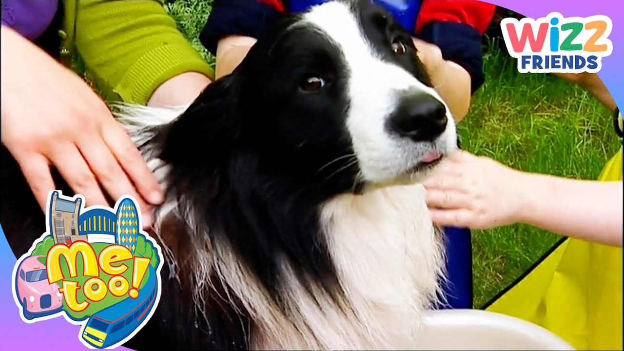 @MeTooOfficialTVShow - Washing the Dog | Wizz Friends - YouTube