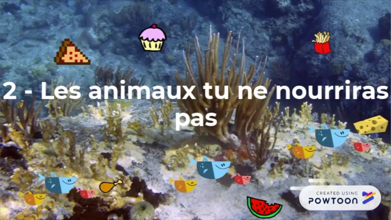 [GOOD NEWS #2] Les 5 commandements pour protéger la mer - YouTube