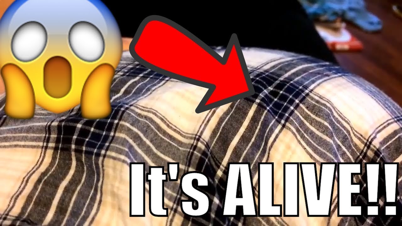 AMAZING! WATCH THIS CRAZY BABY MOVE INSIDE MOMS BELLY! - YouTube