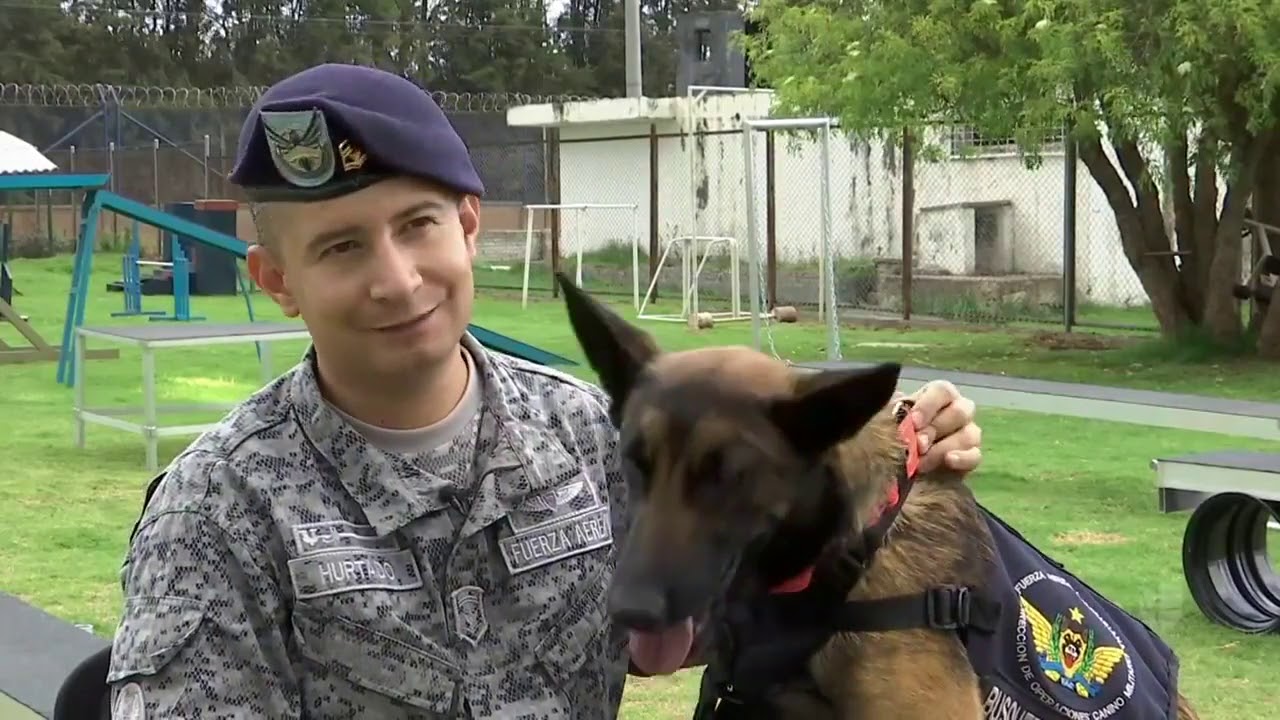 Los perros paracaidistas de la Fuerza Aérea Colombiana - YouTube