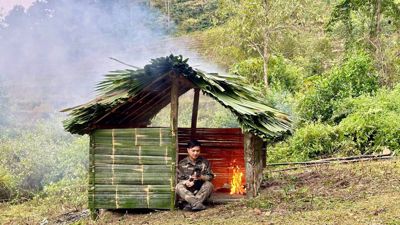 Build a shelter and survive alone in the rainy season in the rainforest ...