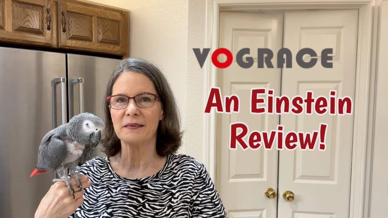 Promote Your Brand with Vograce - The Ultimate Fan Merchandise Provider ...