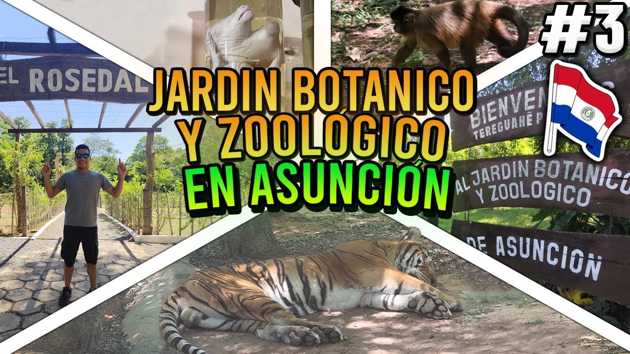 ¿Cómo es EL JARDIN BOTANICO de Asunción? 👉🏼 Recorriendo el museo de ...