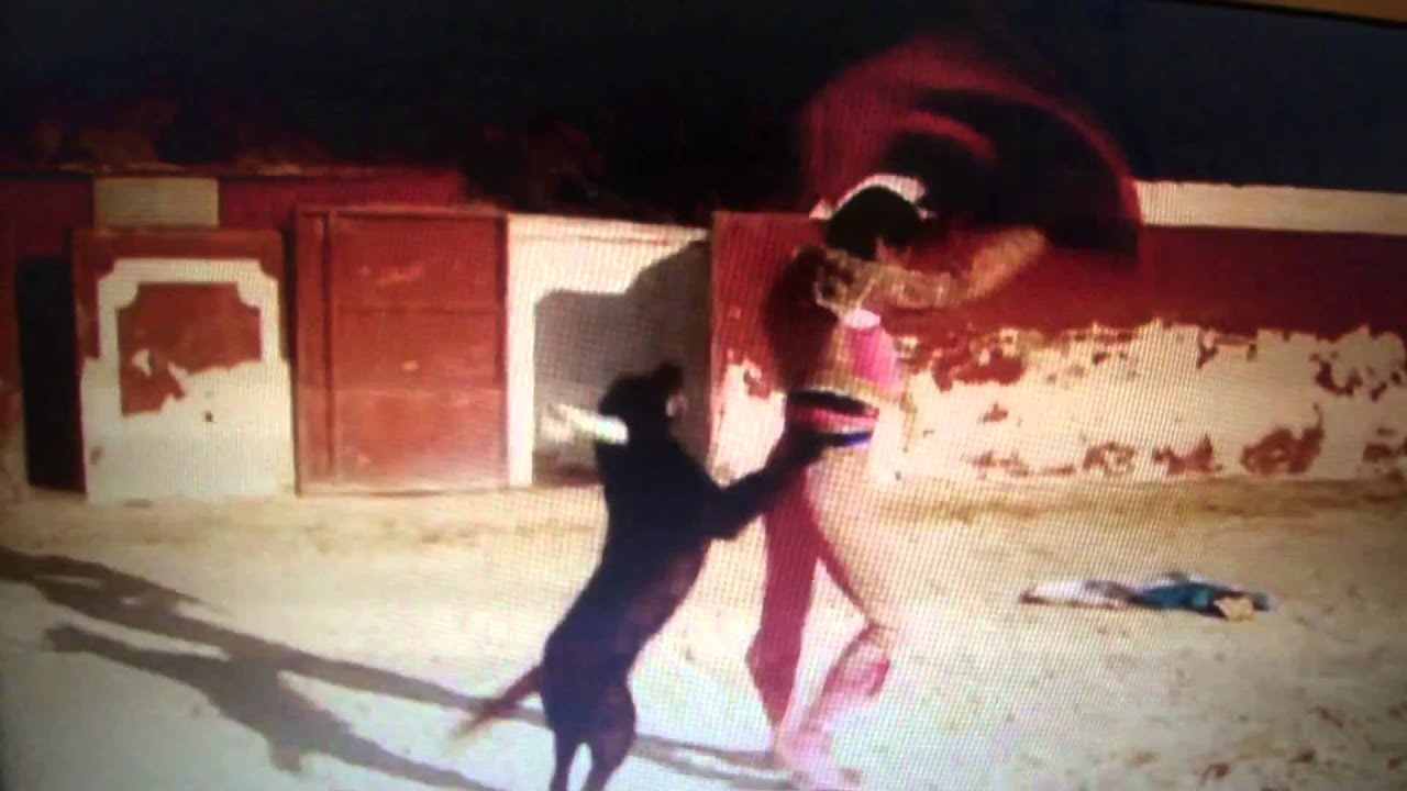 Benidorm Bullfight - YouTube