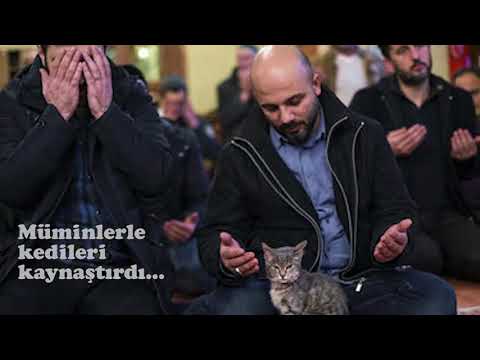 Umutlu Olmamızı Sağlayan 11 Güzel İnsan\
