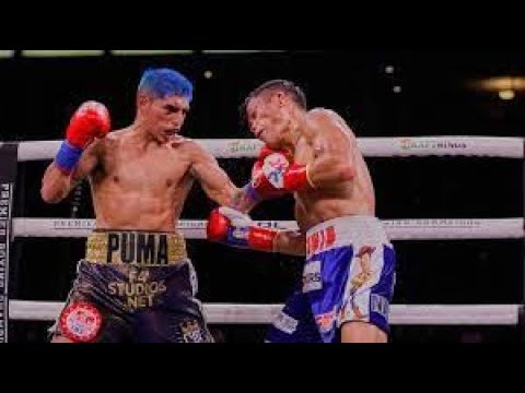 EL PUMA ATACÓ DE NUEVO POR Simón Piña - YouTube