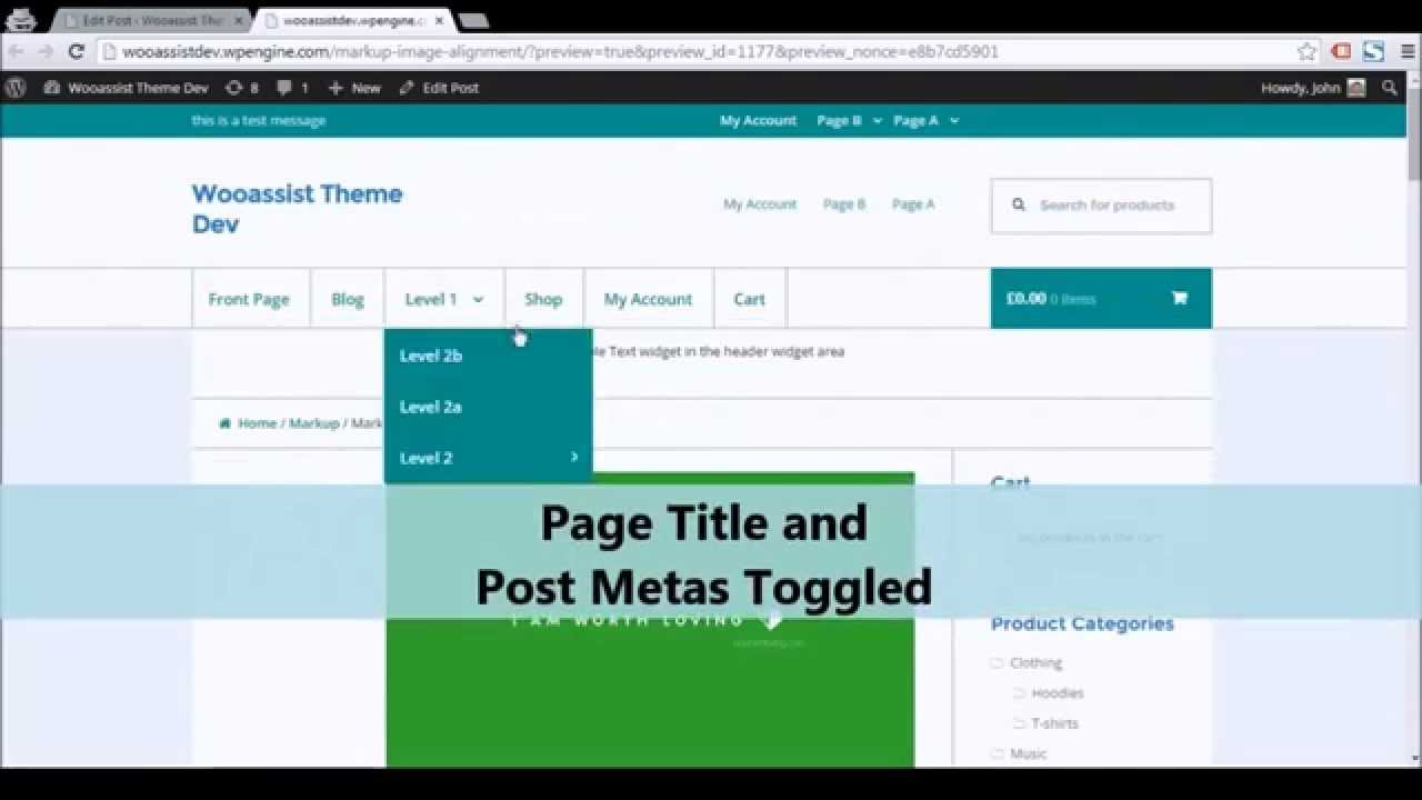Title Toggle for Storefront Theme - YouTube