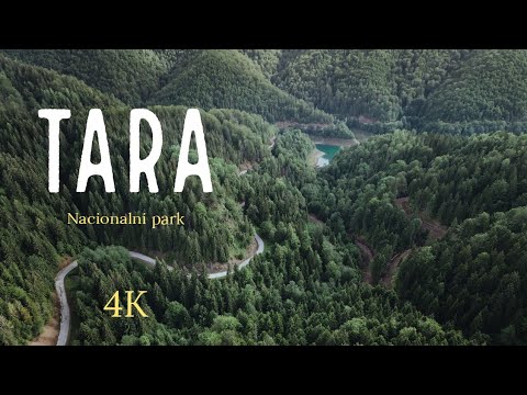 4K - Национални парк Тара, Србија / National park Tara, Serbia - YouTube