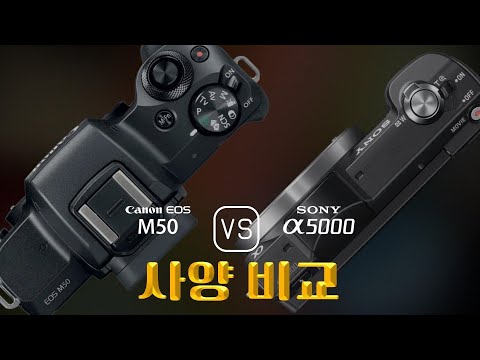 Canon EOS M50 와 Sony A5000 의 사양 비교 - YouTube