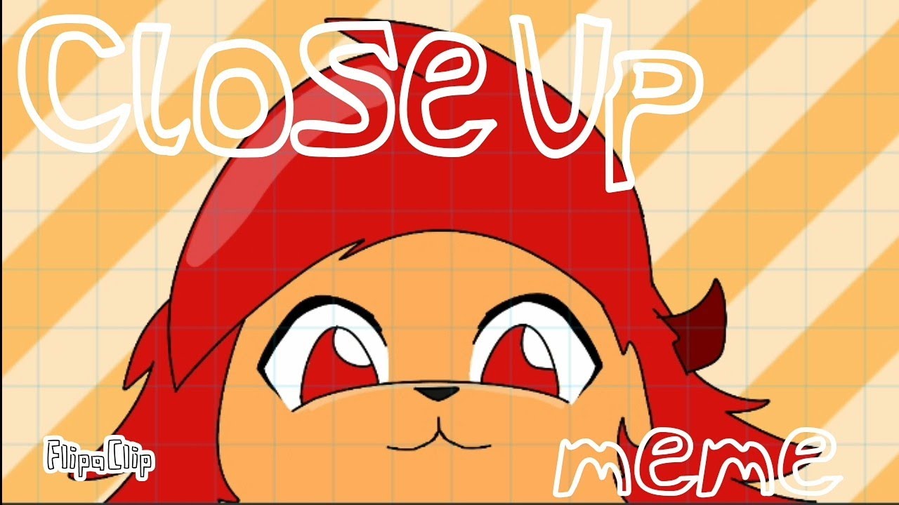 Close Up Meme | OC Flipaclip - YouTube