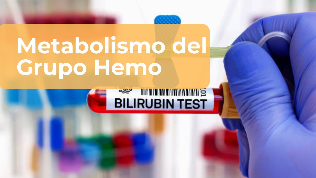 Grupo Hemo: Sintesis y Degradación - YouTube