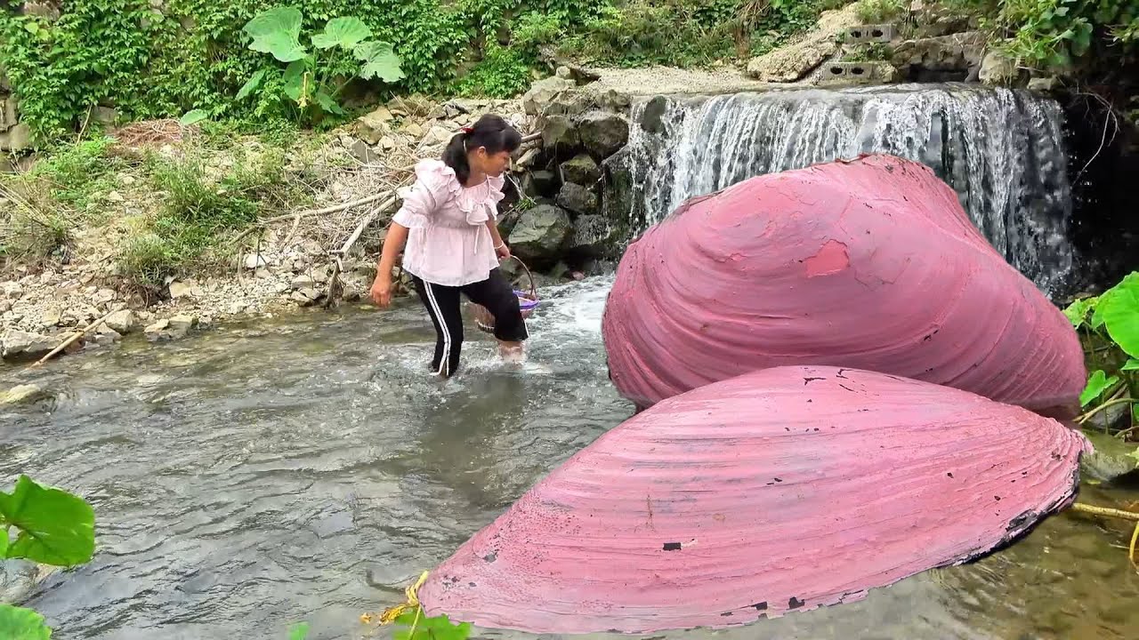 The discovery of oranges and sapphires in pink pearl clams is so ...