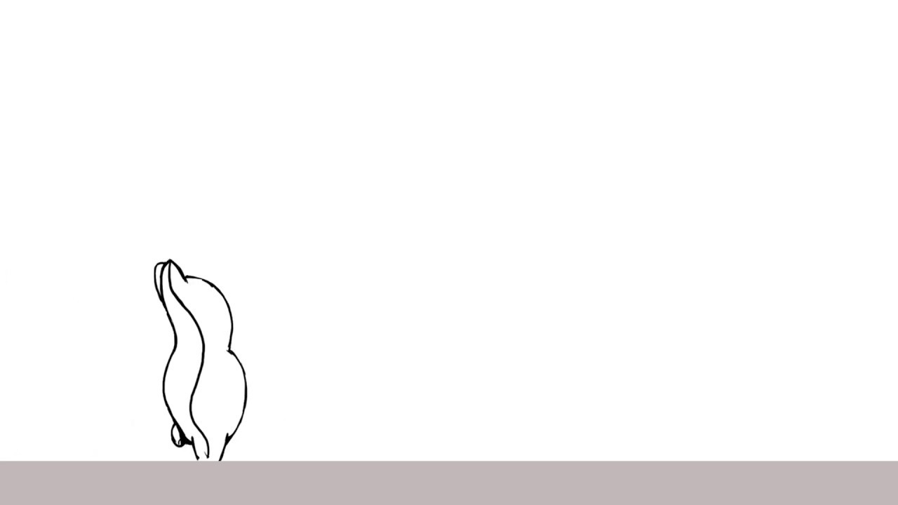 Flour Sack Walk - YouTube