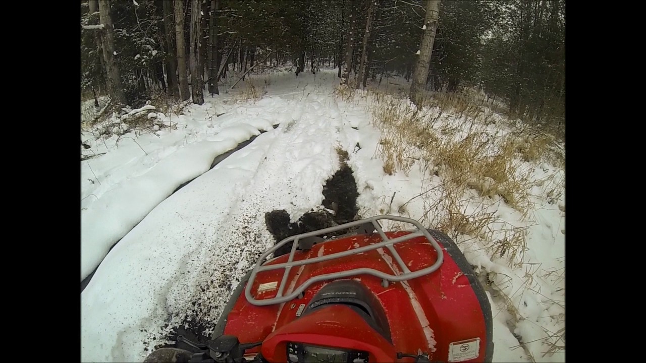 FUNNY ATTEMPT AT DRAGGING A DEER OUT OF THE WOODS - YouTube