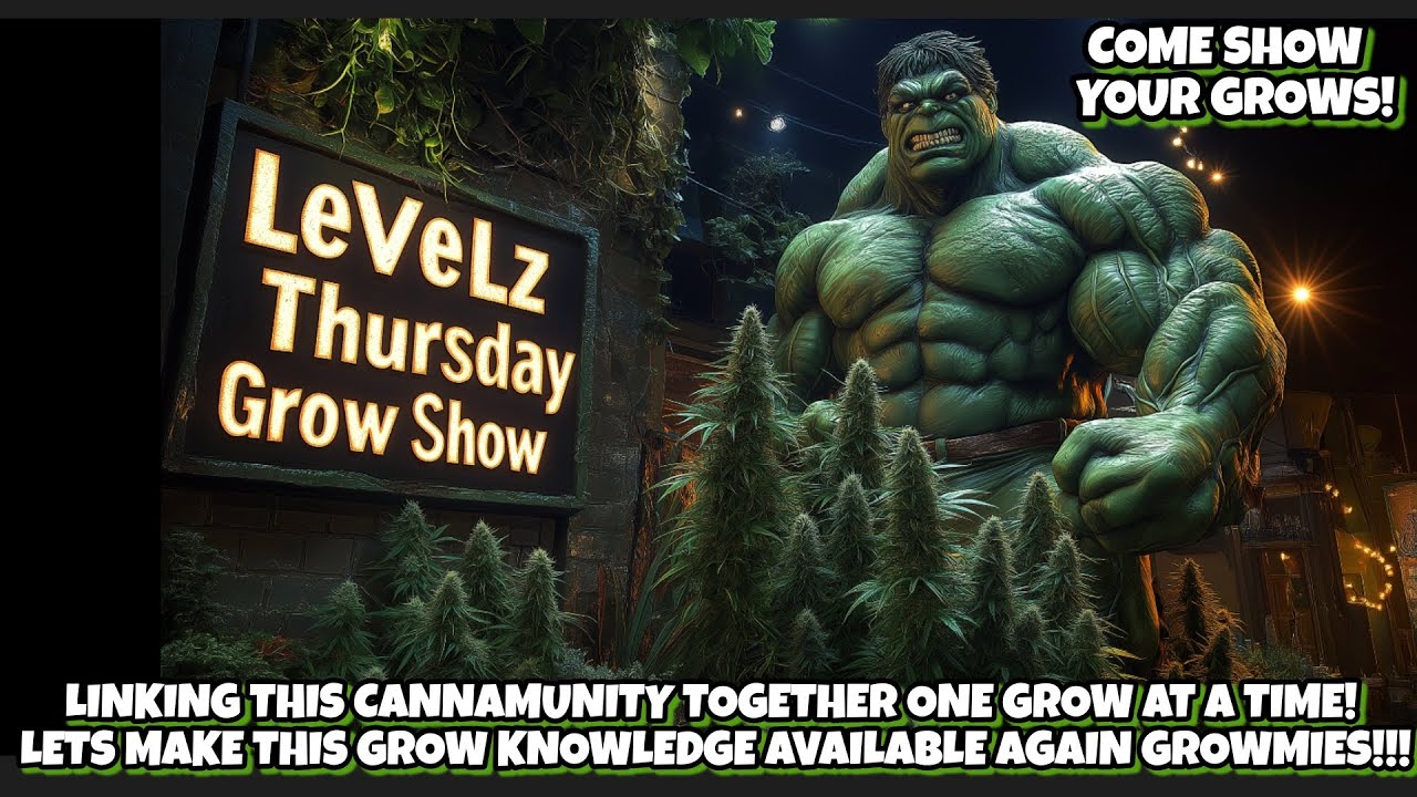 Craziest Grow & Show On YouTube!! Link With The Growers of This ...