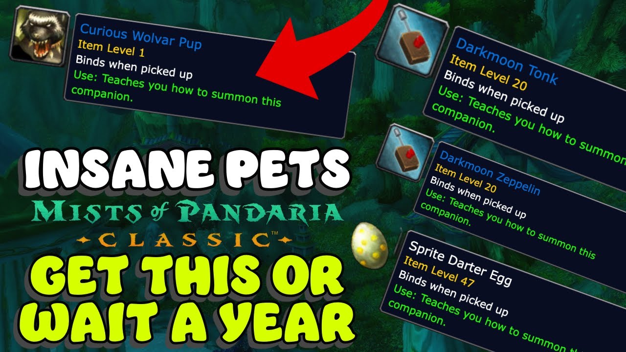 Get some of these pets NOW! Overpowered Pet Comps in MoP Classic - YouTube