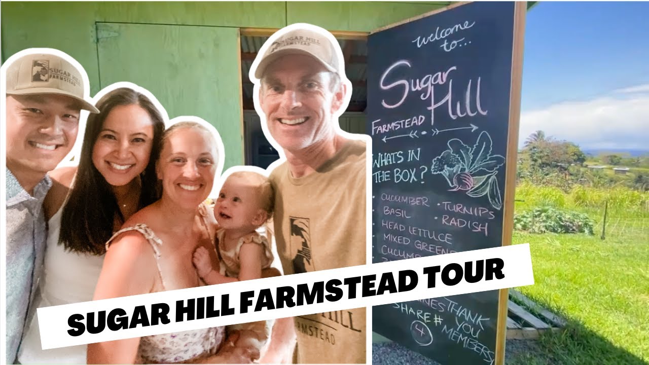 10-Acre Farm Tour on PARADISE!! Sugar Hill Farmstead on Big Island of ...
