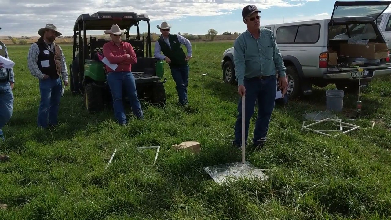 How to use the falling plate method to estimate forage yield in pasture ...