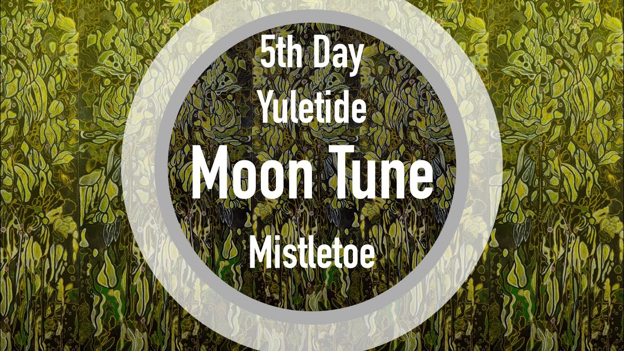 Mistletoe is the Emotional Dark Moon Aspect ∞ 5th Day of Yuletide - YouTube