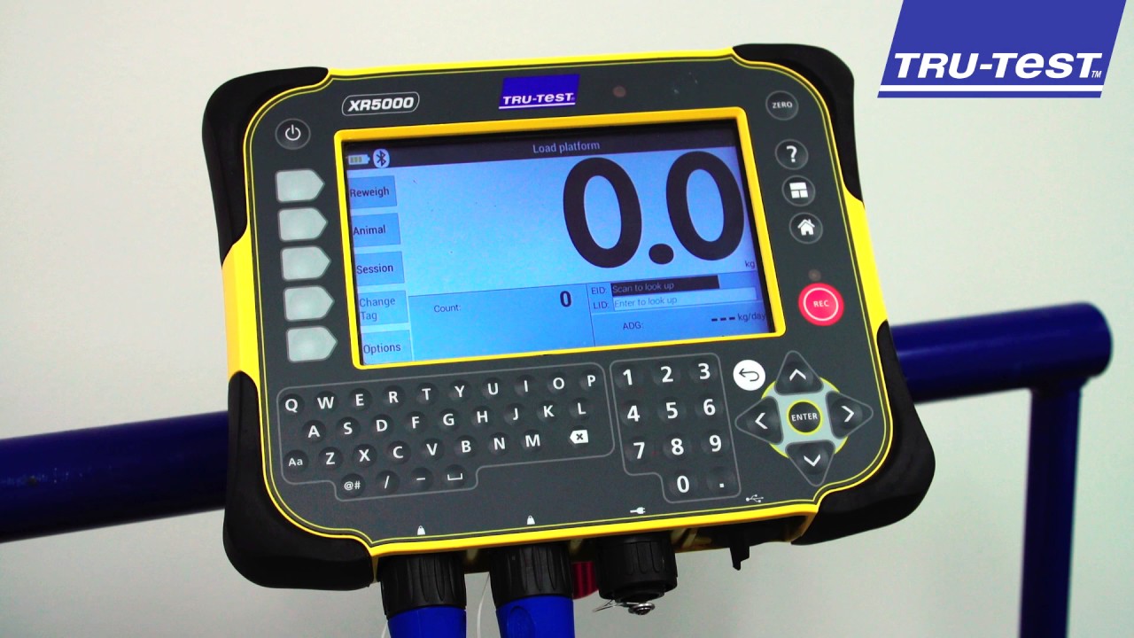 How to create a new weigh session on an XR5000 ǀ Tru-Test - YouTube