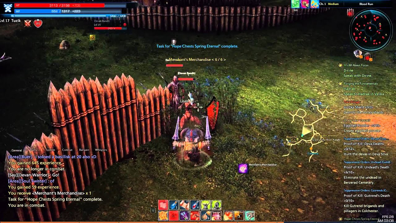 TERA fight - YouTube