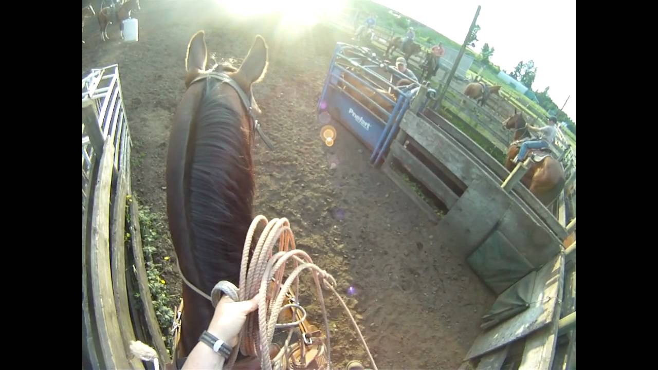 Team roping: Heading with the GoPro - YouTube