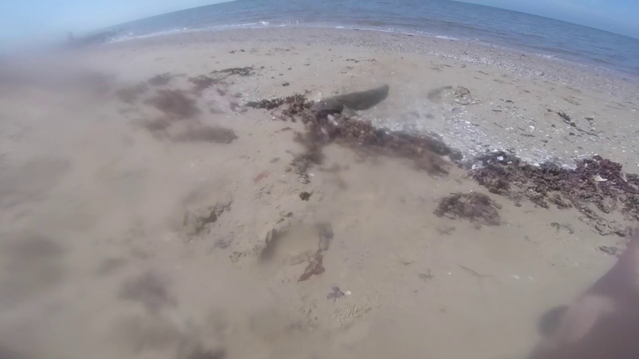 Werribee South Beach Fishing. 60 CM flathead - YouTube