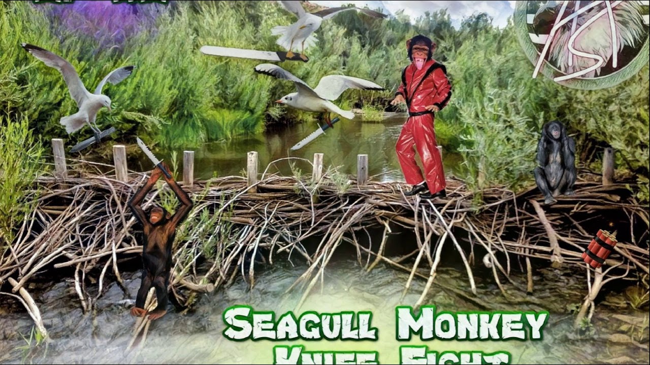 EP112- Seagull Monkey Knife Fight - YouTube