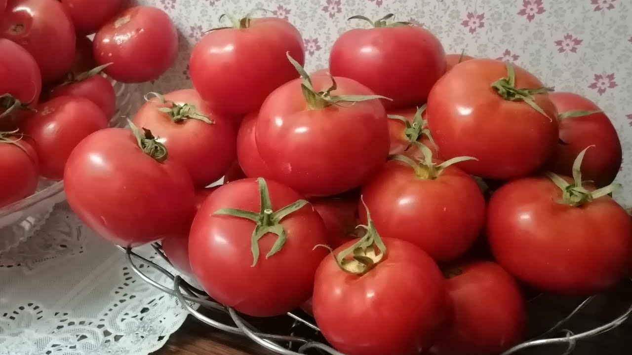 GAWIN ITO SA KAMATIS 😊 - YouTube