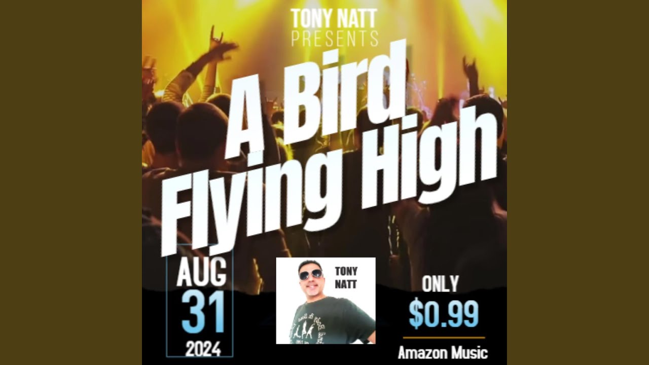 A Bird Flying High - YouTube