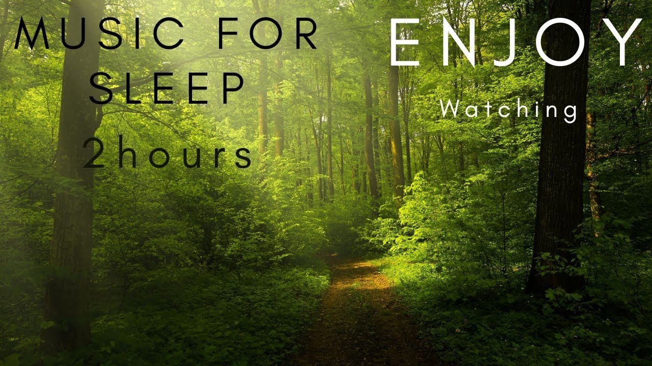 Relaxing and meditation music for deep sleep with nature sounds - YouTube