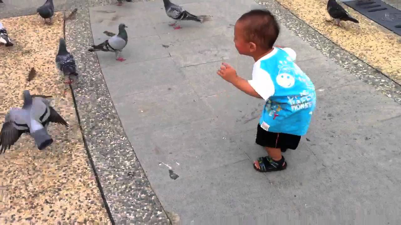 Jed and birds Pt.2 - YouTube