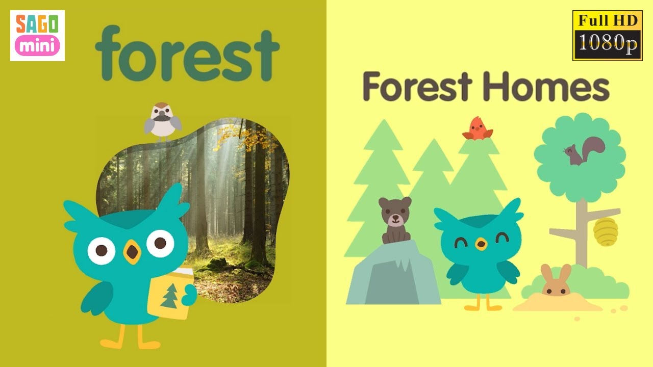 🌳Sago Mini School: Forest | Fun Interactive Kids Game - YouTube
