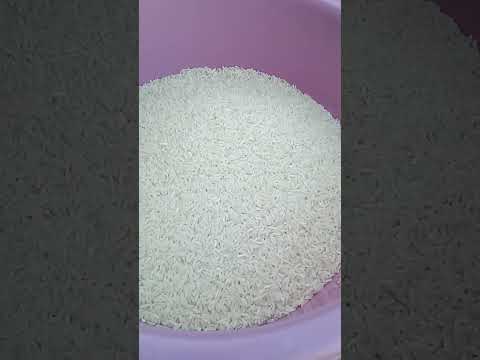 día de san Judas en suchil DGO - YouTube