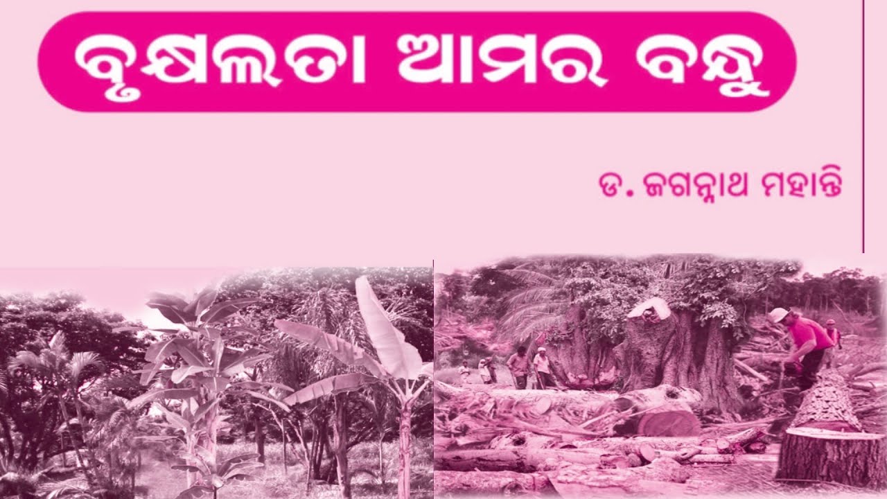 ବୃକ୍ଷଲତା ଆମର ବନ୍ଧୁ | 6 Class Sahitya Chapter 13 | Brukha Lata Amara ...