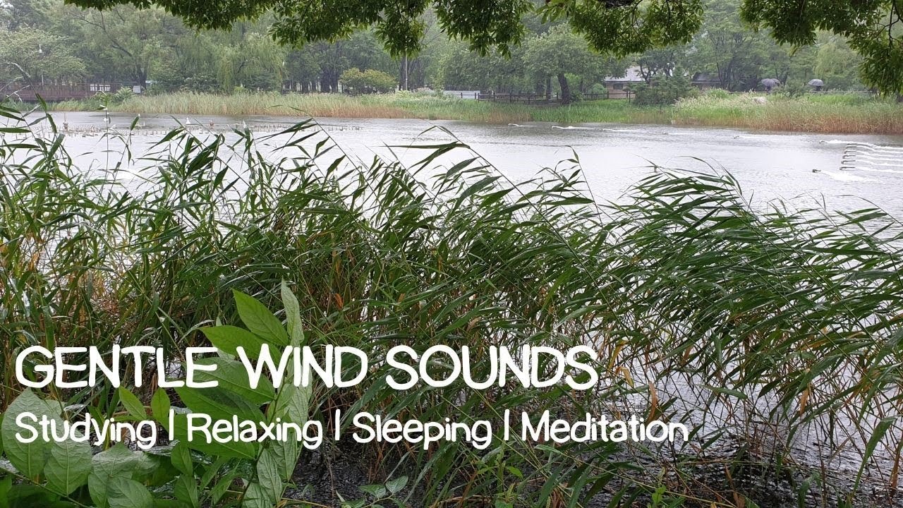 1 Hour of Wind Sounds for Relaxation and Sleep - Natural White Noise ...