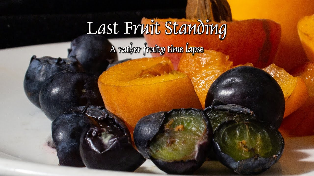 Time lapse : Last Fruit Standing - YouTube
